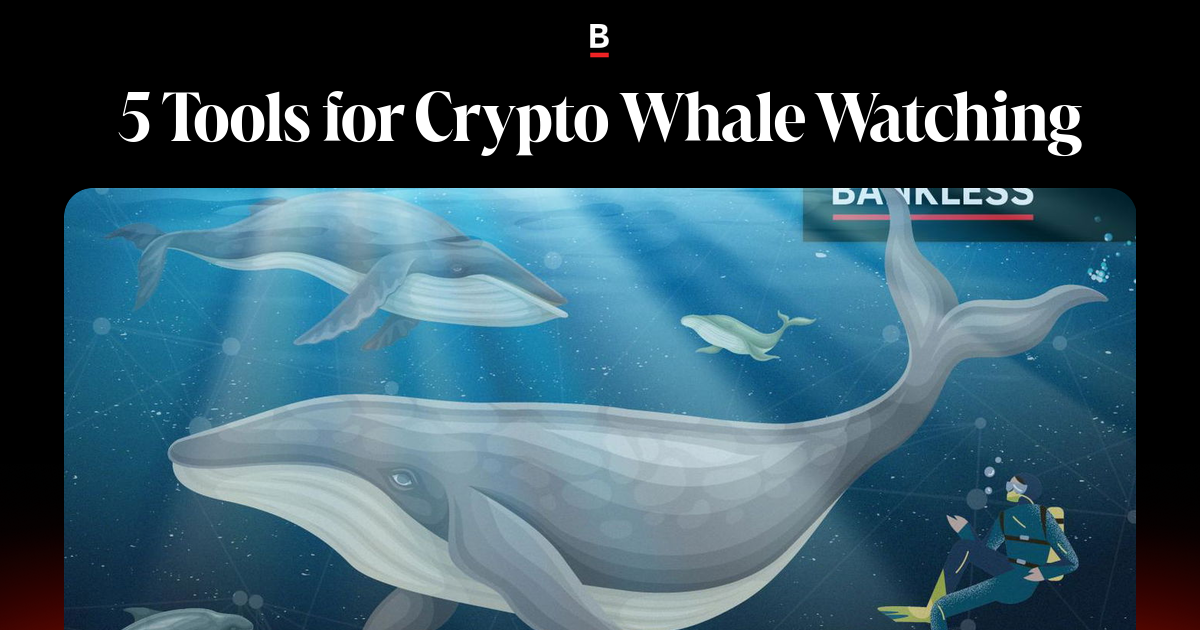 5 Tools for Crypto Whale Watching