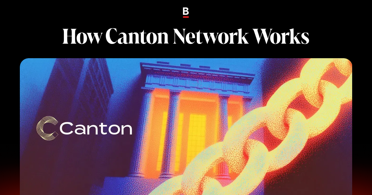 Comment fonctionne le réseau Canton