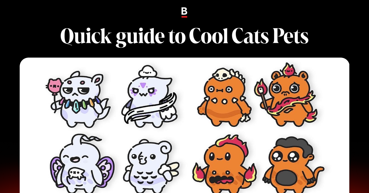 Quick guide to Cool Cats Pets