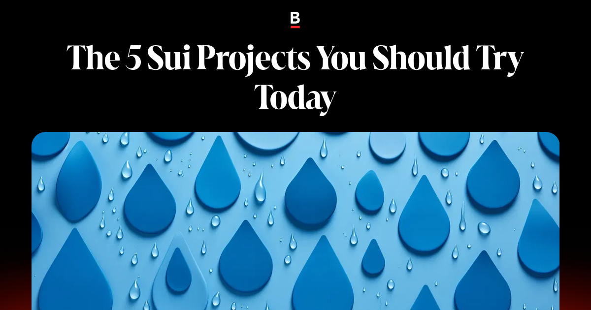 The 5 Sui Projects You Should Try Today